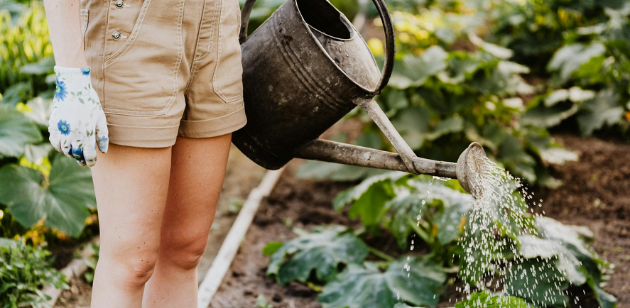 Best Gardening Tools for 2025: Top Tools to Enhance Your Garden